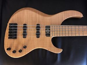 musical-instruments-for-all.com - 1999 Modulus Genesis 5 string bass